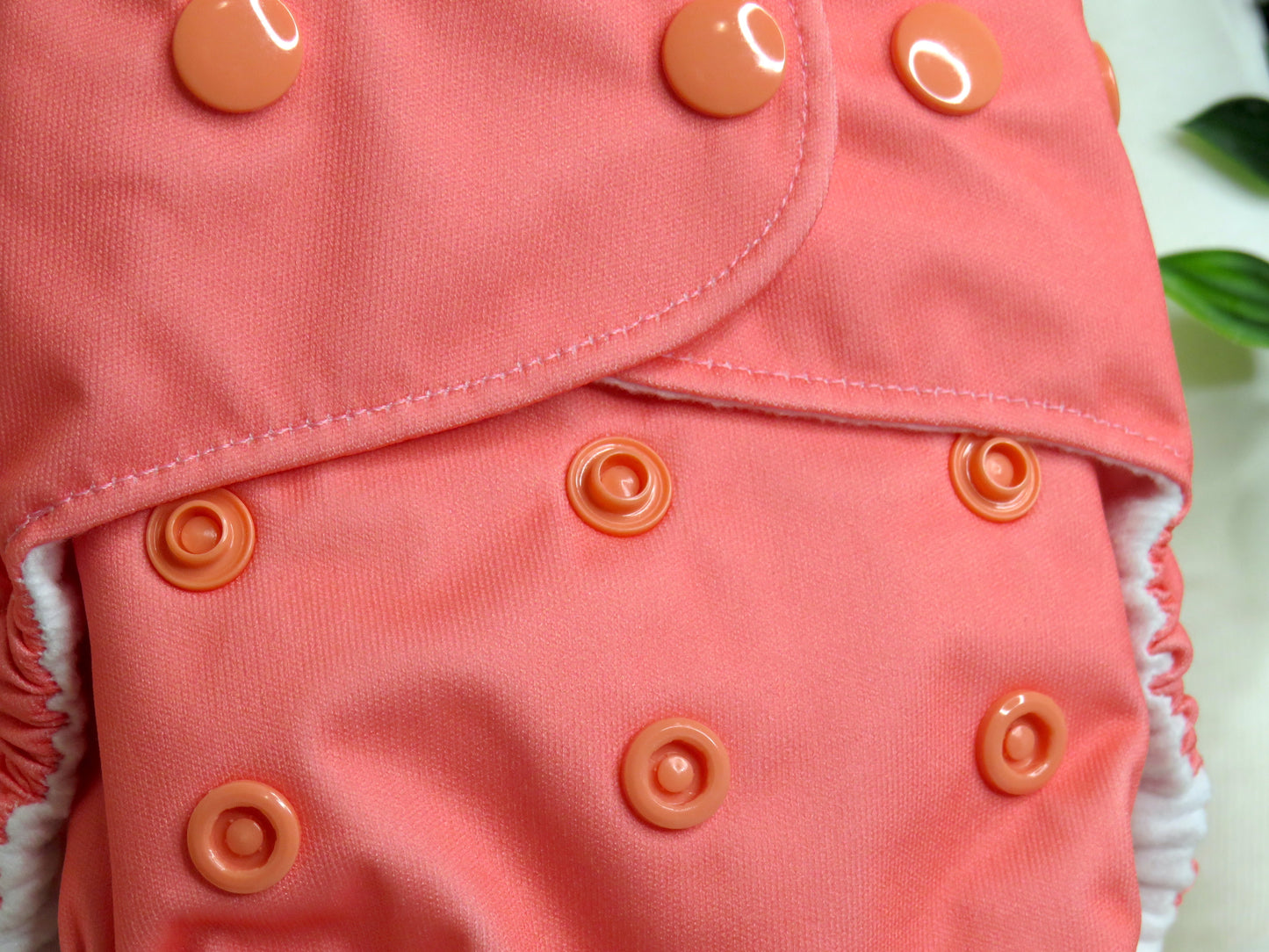 Punchy Pink - PUL - Rosarium – From The Rose Garden